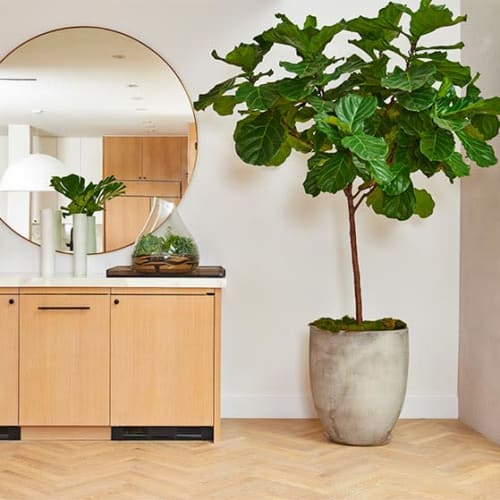 Curious Yellow Design | QualityBath.com