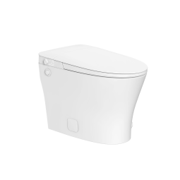 Icera - Toilets & Bathroom Sinks | QualityBath.com