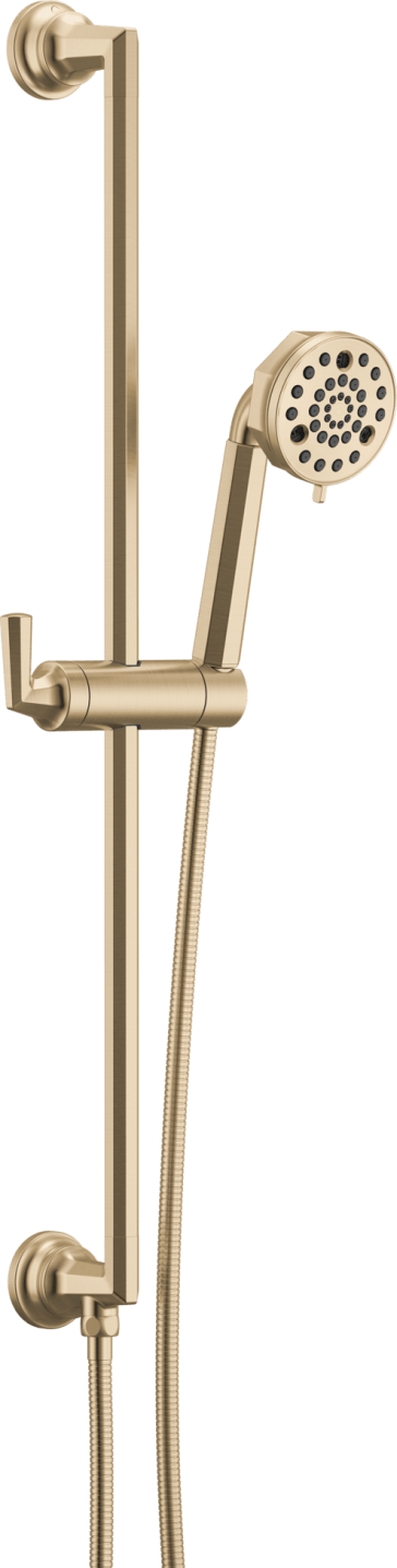 Brizo 88765-GL Beauclere Multi-Function Slide-Bar Hand Shower ...