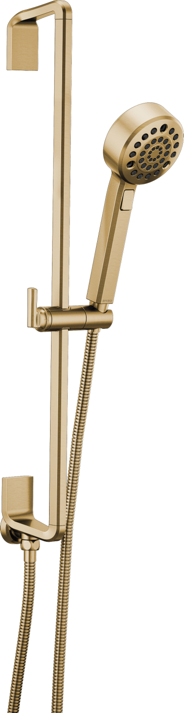 Brizo 88798-GL Levoir H2okinetic Multi Function Slide Bar Hand Shower ...