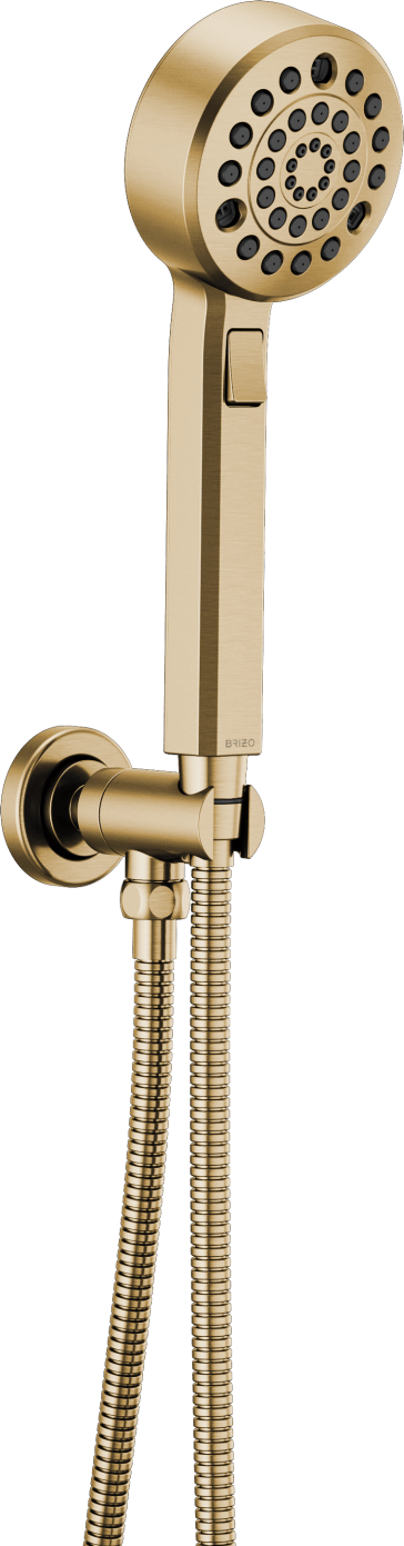 Brizo 88898-GL Levoir H2okinetic Multi Function Hand Shower ...