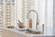 Blanco 442677 Rivana Kitchen Faucet | QualityBath.com