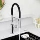 Blanco 402447 Catris Flexo Semi-Pro Pull-Down Dual-Spray Kitchen Faucet ...