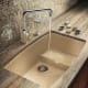 Blanco 440603 Purus I Kitchen Faucet W/Side Spray | QualityBath.com