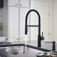 Blanco 402447 Catris Flexo Semi-Pro Pull-Down Dual-Spray Kitchen Faucet ...
