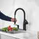 Blanco 442677 Rivana Kitchen Faucet | QualityBath.com