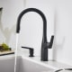 Blanco 442677 Rivana Kitchen Faucet | QualityBath.com