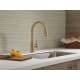 Delta 9159-DST Trinsic Single Handle Pull Down Kitchen Faucet ...