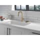 Delta 9959-DST Trinsic Single Handle Pull Down Bar / Prep Faucet ...