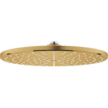 Grohe 26569GN0 Rainshower Mono 310 Showerhead | QualityBath.com