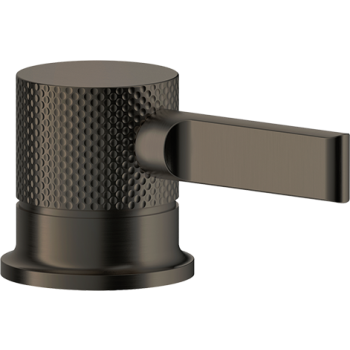 Gessi 58200 Inciso Bathroom Faucet Control | QualityBath.com
